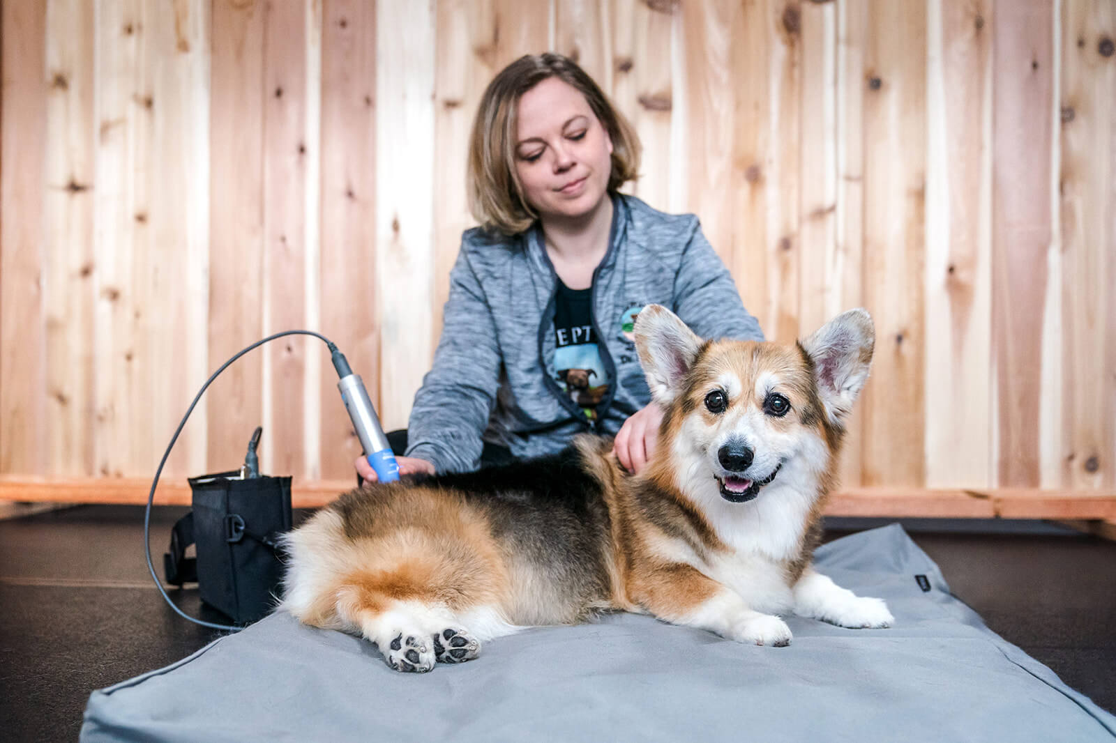 Shockwave Information - Canine PT and Me