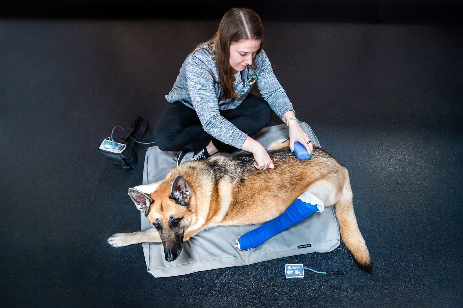 What We Do - Canine PT and Me