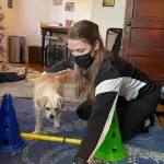 Understanding dogs in pain - Canine PT and Me